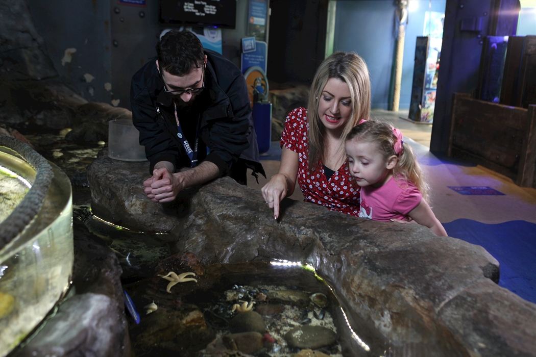 SEA LIFE Blackpool | Visit Blackpool